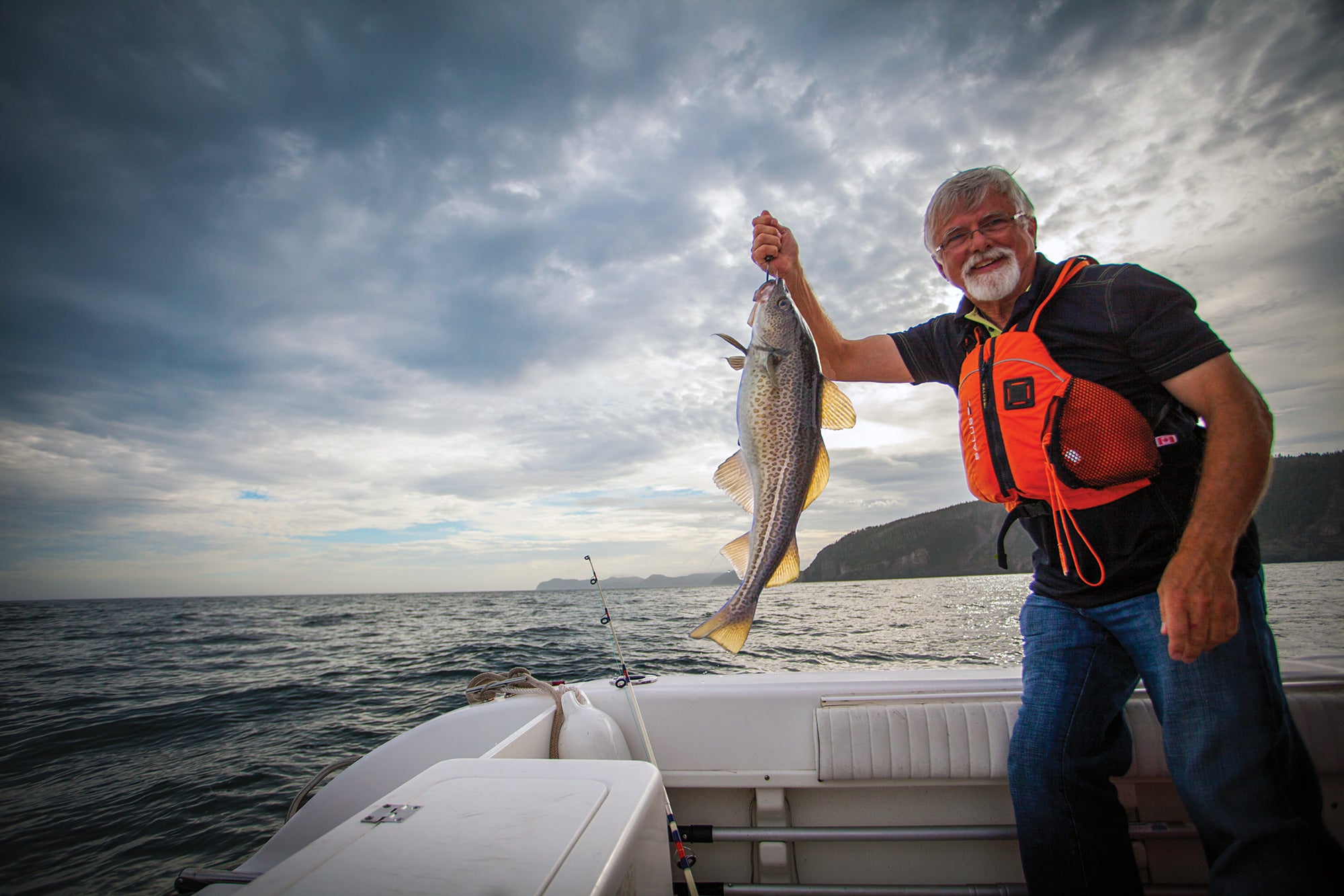 Quidi Vidi Charters – The best fishing charters in Newfoundland – QV ...